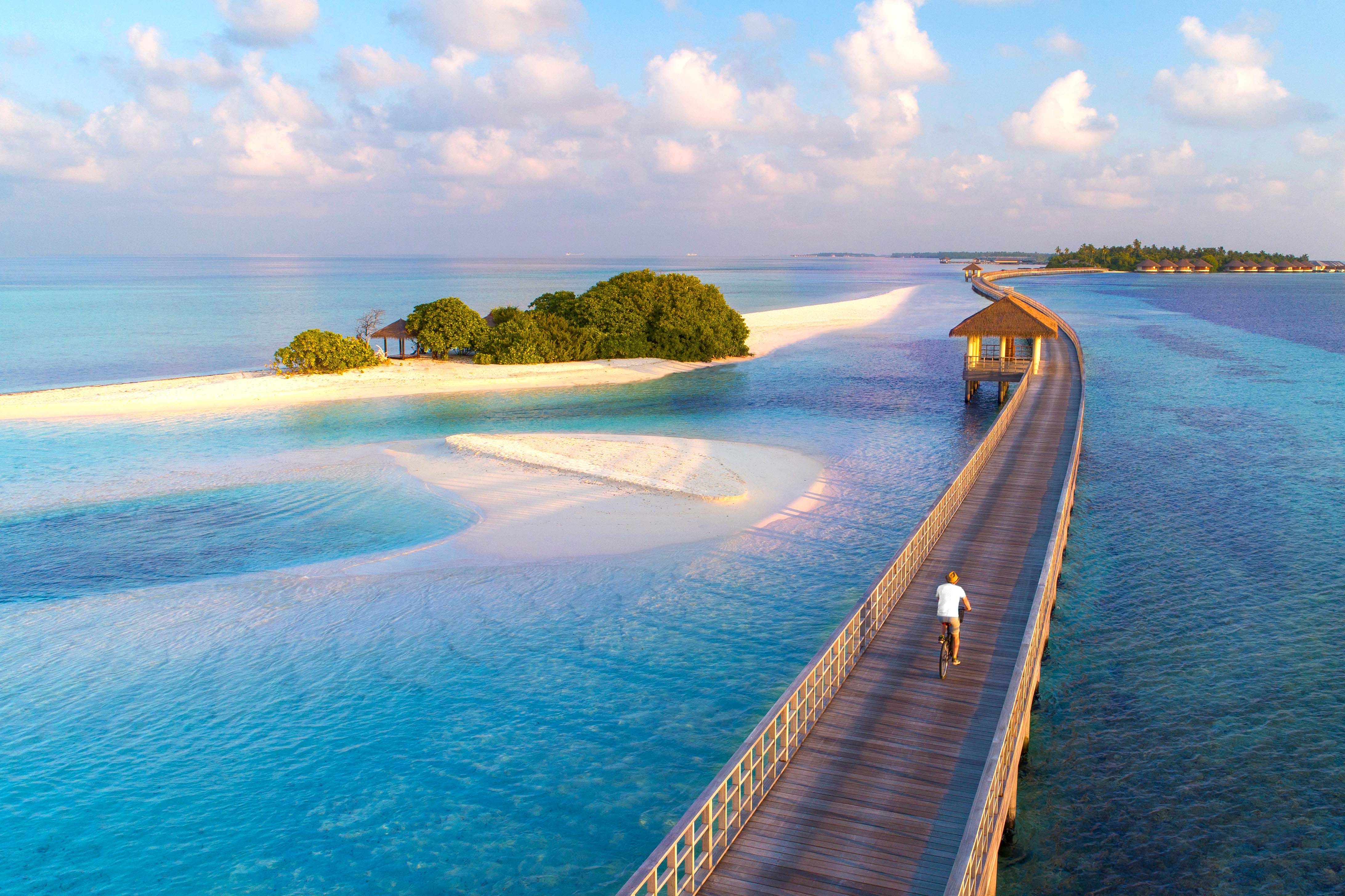 Cenizaro Privilege Offer